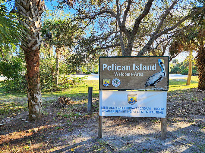 Conservation has a home at Pelican Island. America's first wildlife refuge still protects our feathered friends just as Teddy Roosevelt intended.
