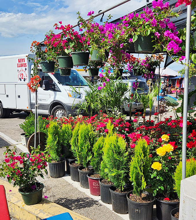 A riot of color and fragrance, this plant stall brings the nursery to you, minus the backache from digging your own holes.