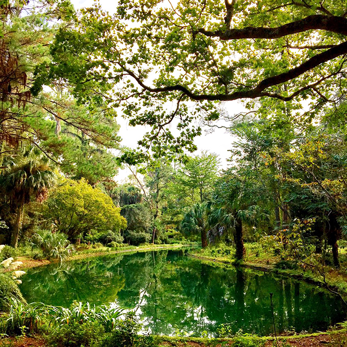 This emerald pond reflects the surrounding wilderness like nature's own Instagram filter. Serenity doesn't need hashtags.
