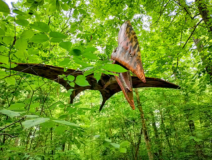 Look up! A Pteranodon soars through the green canopy, giving visitors a rare glimpse of what prehistoric air traffic might have looked like.