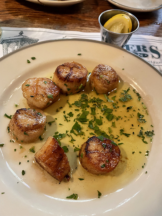 Golden scallops sit like little treasure coins in their buttery herb-infused sauce, absolutely restaurant-worthy presentation.