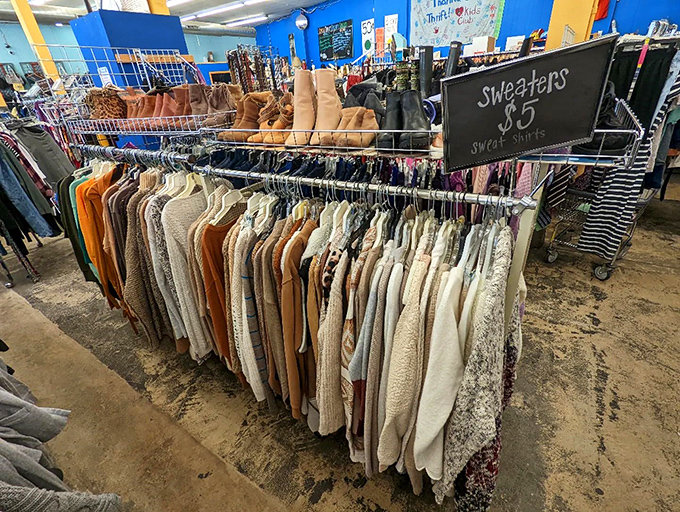 Sweater weather never looked so affordable! At $5 each, these cozy layers prove that staying warm in Pennsylvania winters doesn't have to break the bank.