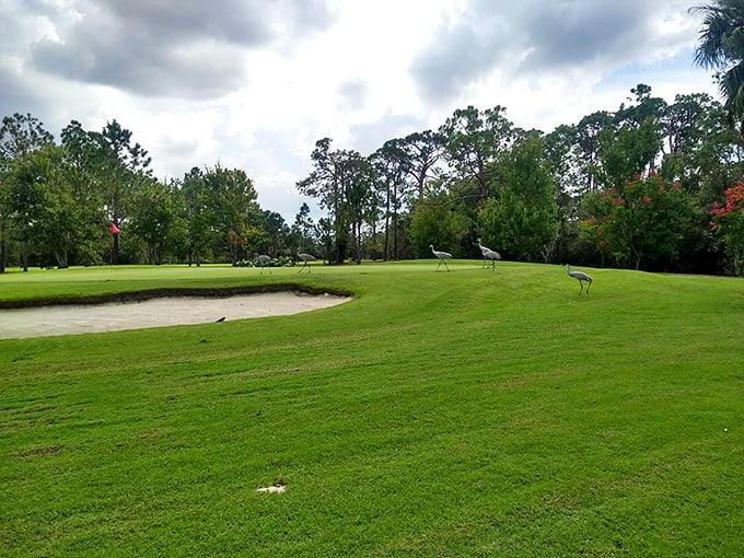 Sebring Municipal Golf Course welcomes both golfers and wildlife &ndash; those sandhill cranes don't pay greens fees but add priceless ambiance.
