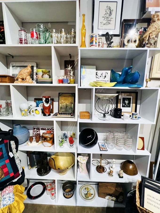 Shelves of organized chaos where ceramic animals, vintage glassware, and forgotten treasures await their second chance at bringing joy.