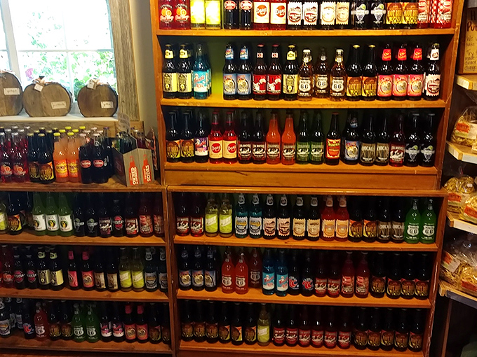 A rainbow of old-fashioned sodas lines the shelves, offering fizzy nostalgia in glass bottles. Flavors your taste buds forgot they remembered.