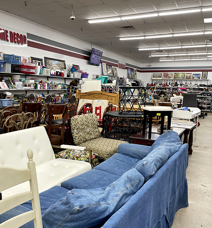 Furniture island: where mid-century meets 90s denim in perfect harmony. That blue sofa has stories to tell&mdash;and with a good cleaning, it's ready to hear yours.
