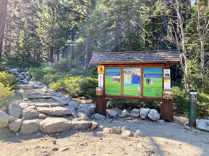 The million-dollar view that's actually free: Lake Tahoe's legendary blue waters peek through the pines, rewarding hikers with nature's version of a standing ovation.