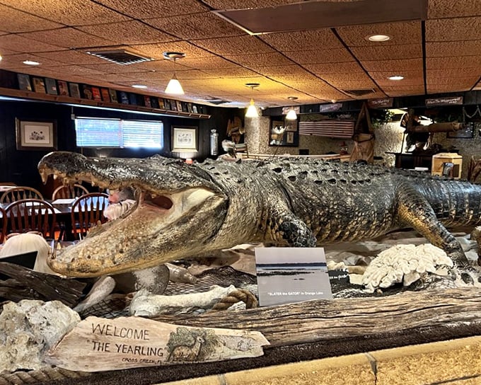 The restaurant's taxidermied alligator greeter has welcomed more diners than a Walmart door attendant, with considerably more teeth.