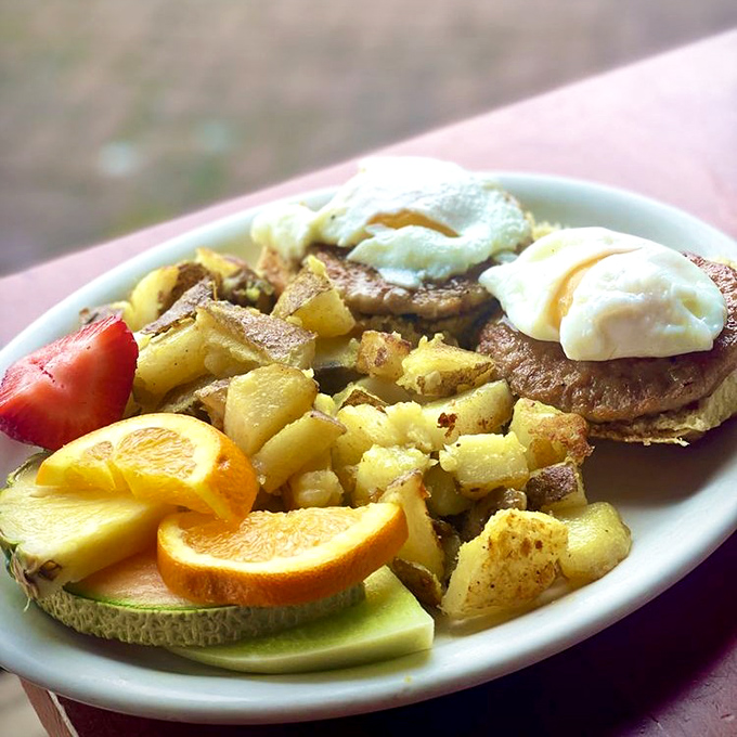 A sandwich with a view that makes you wonder which is more delicious—the fresh tuna salad or the million-dollar marina scenery outside.