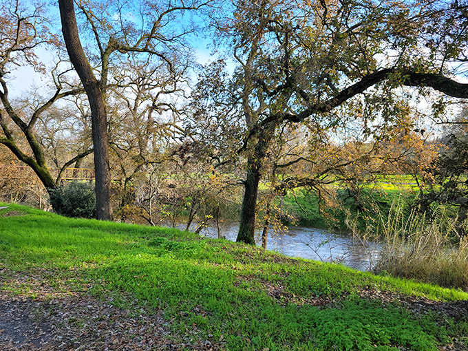Thousand Oaks Park's serene landscape offers a natural respite from daily stresses. Mother Nature's version of a spa day, minus the awkward robes.