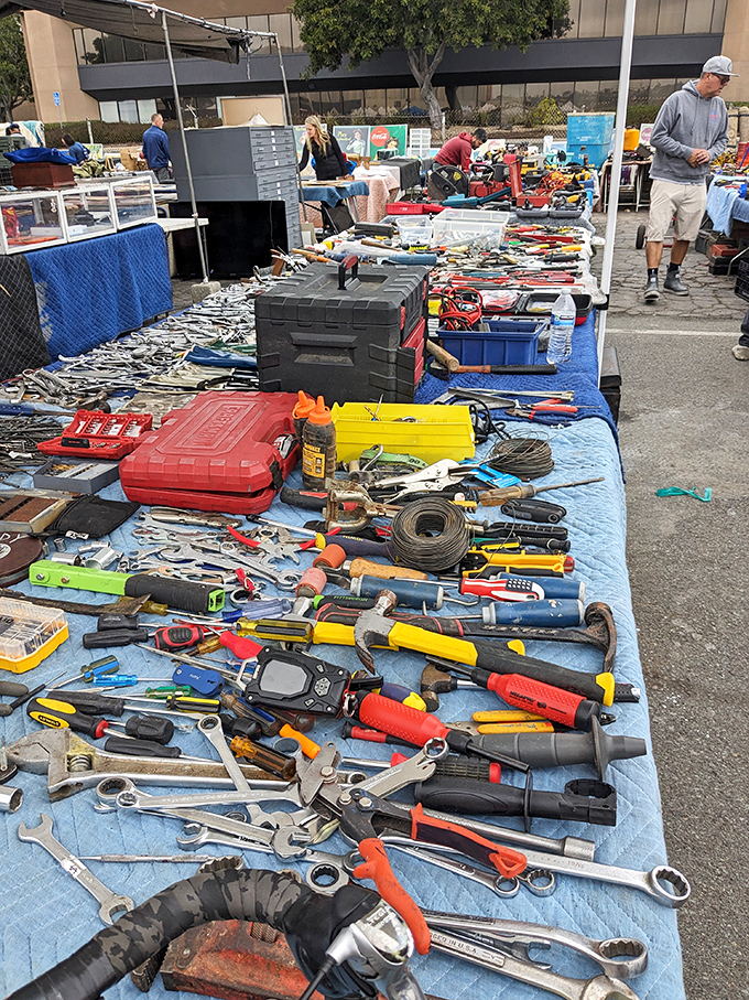 A handyman's dream spread! From wrenches to wire cutters, this blue-tabled display offers every tool imaginable for both weekend warriors and serious craftspeople.