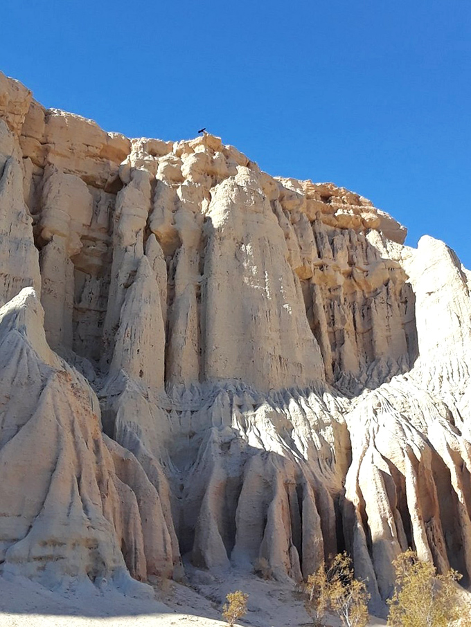 Geological skyscrapers that make Manhattan look young. These pale cliffs showcase nature's patient artistry through millions of years of wind and water.