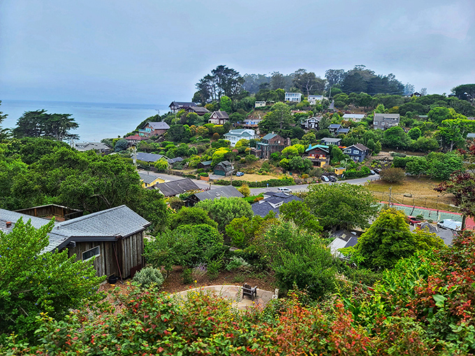 Homes nestled into hillsides like colorful birds in a nest, with the Pacific providing nature's perfect backdrop.