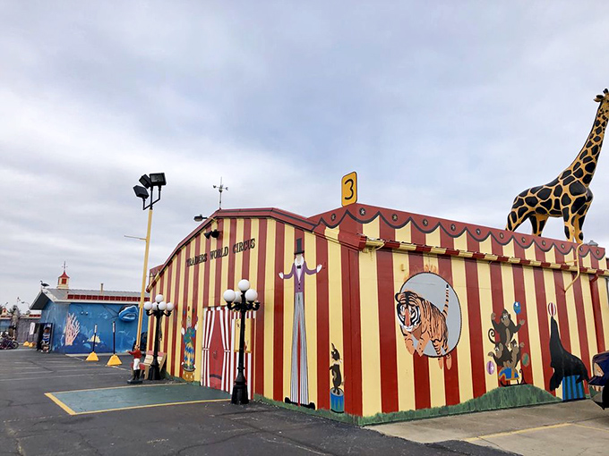 The circus-themed building with its tiger mural and striped walls promises the kind of whimsy that makes adult shopping feel like childhood discovery.