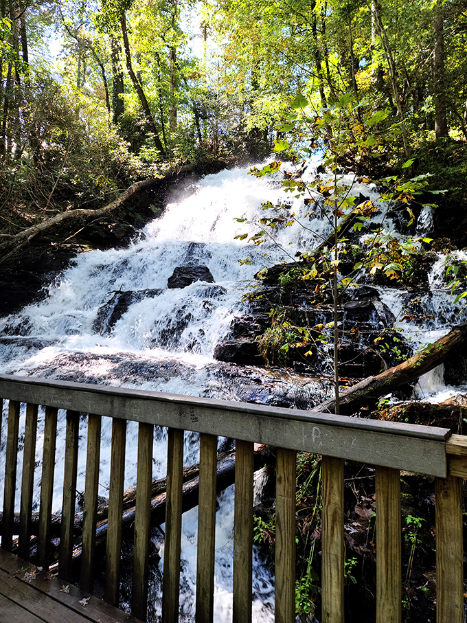 Trahlyta Falls doesn't just cascade&mdash;it performs a water symphony that makes you forget about that work presentation due on Monday.
