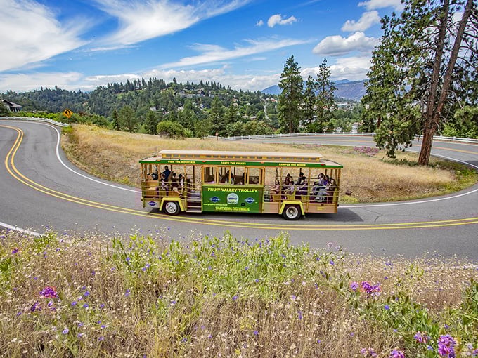 Not your average commute! This charming trolley carries passengers through Hood River's stunning countryside, proving sometimes the scenic route is the only way to go.