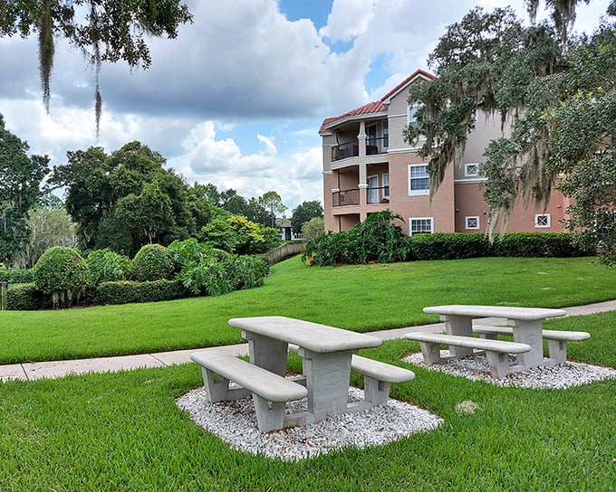Affordable living doesn't mean sacrificing green space in Ocala, where apartment complexes offer picnic areas that beat most big-city parks. 