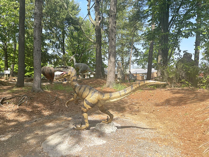 The path winds through a prehistoric forest where raptors lurk among the trees, their hunting postures frozen in mid-stalk.