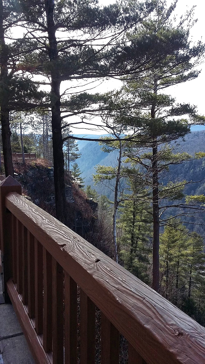 The viewing deck offers front-row tickets to Earth's greatest show. No binoculars needed, though your camera will beg to differ.