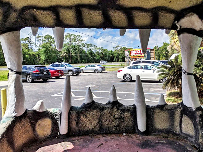 The view from inside Swampy's jaws offers a unique perspective on the parking lot. Talk about a conversation starter for your next dinner party!