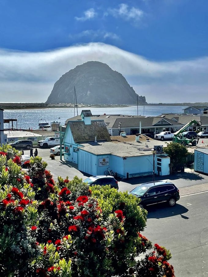 Vibrant bottlebrush flowers frame this elevated view of the Embarcadero. The town nestles between bay and rock, a colorful maritime village with character to spare.