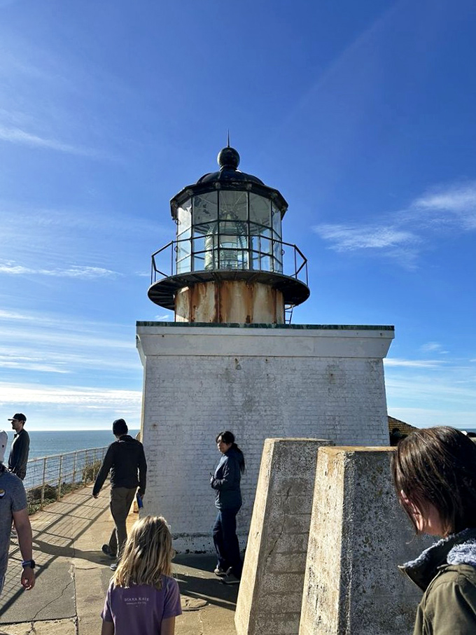 Lighthouse visitors circle the historic beacon like planets around a sun, drawn by forces of curiosity and the perfect photo opportunity.