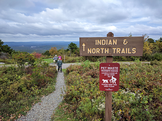 Visitors gather to witness autumn's grand finale, where Mother Nature proves she's the ultimate set designer.