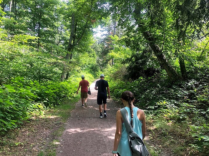 Fellow explorers forge ahead on nature's highway. These hikers demonstrate the proper way to social distance before it was trending.