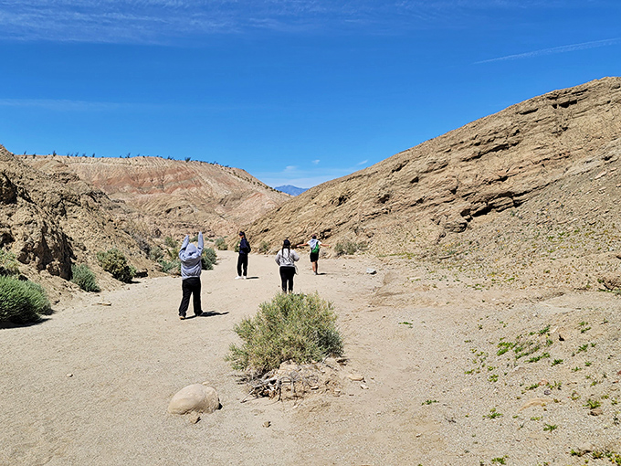 Hikers find their rhythm in the desert silence, where each footstep connects you to explorers, natives, and pioneers who walked these paths before.