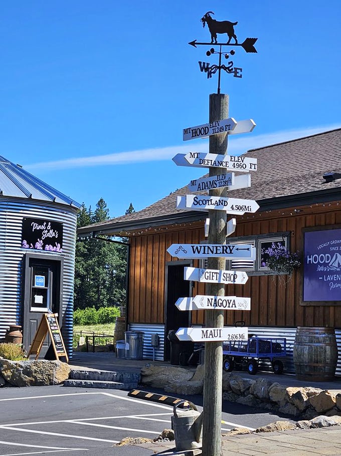 This charming directional post reminds you just how far you are from Scotland, but how close you are to lavender-scented bliss.