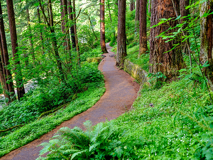 This winding forest path invites exploration, promising secrets and surprises around each bend like a childhood storybook come to life.