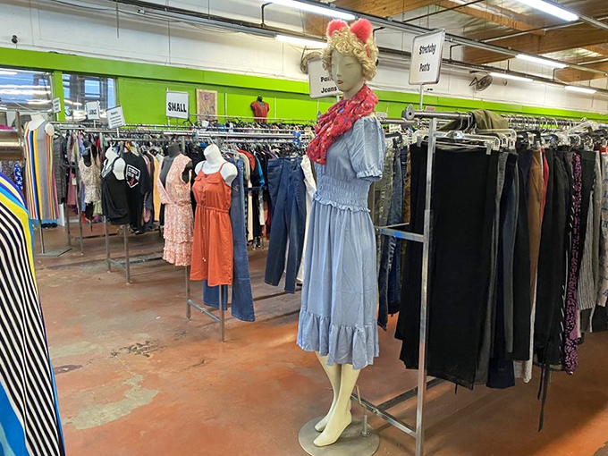 Fashion time travel at its finest &ndash; yesterday's trends displayed with a certain dignity, waiting for their inevitable comeback moment.