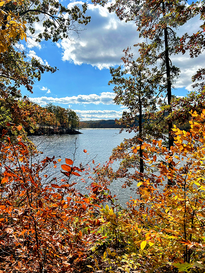 Fall's fashion show at Lake Hope &ndash; where trees dress in their most outrageous colors just to be reflected in the water.