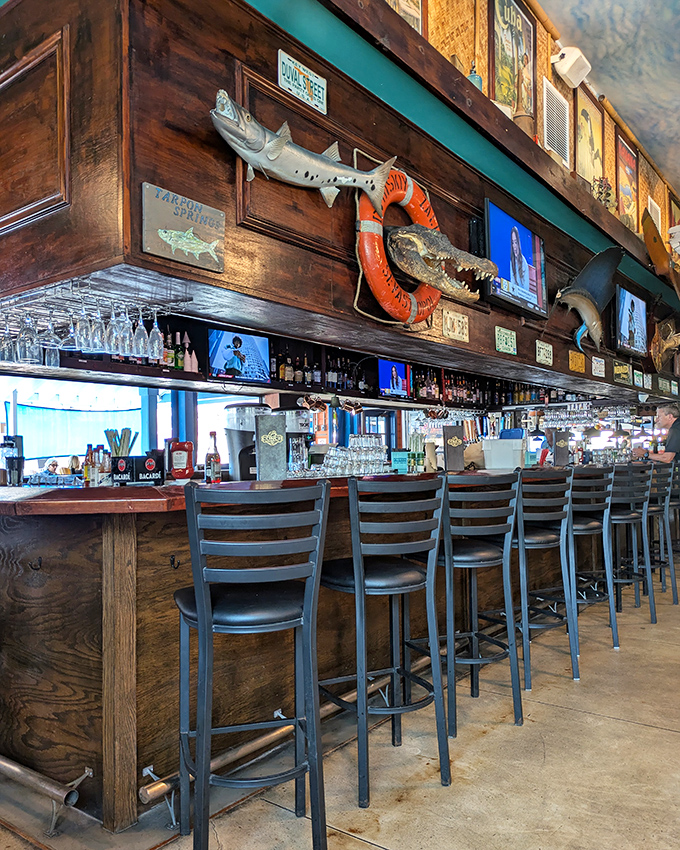 The bar's ready for your stories, with a gator watching over like the world's toothiest bartender.