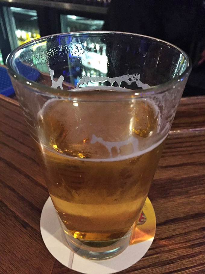 A perfectly poured pint catches the light, promising the kind of refreshment that makes everything taste even better.