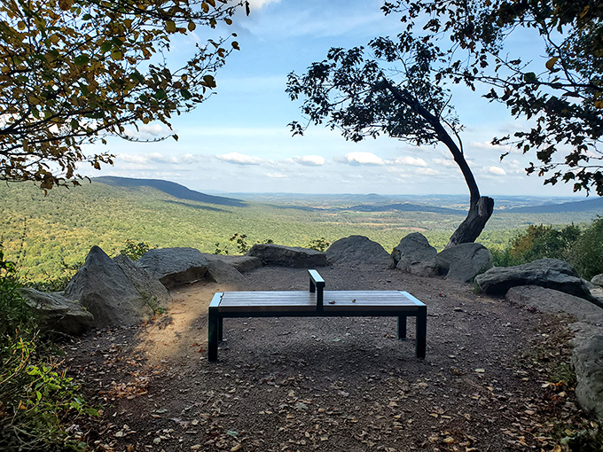 The world's best waiting room. This bench has witnessed more genuine "wow" moments than all the smartphones in Philadelphia combined.