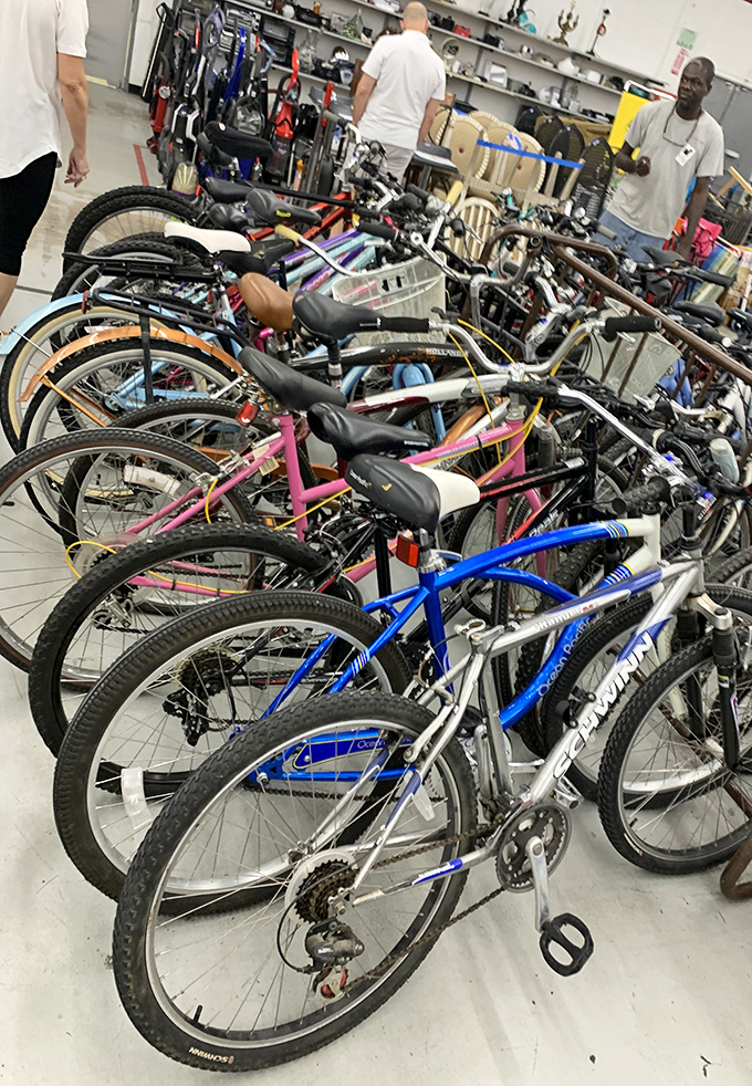 Two-wheeled freedom awaits at prices that make cycling dreams accessible to every budget-conscious adventure seeker around.