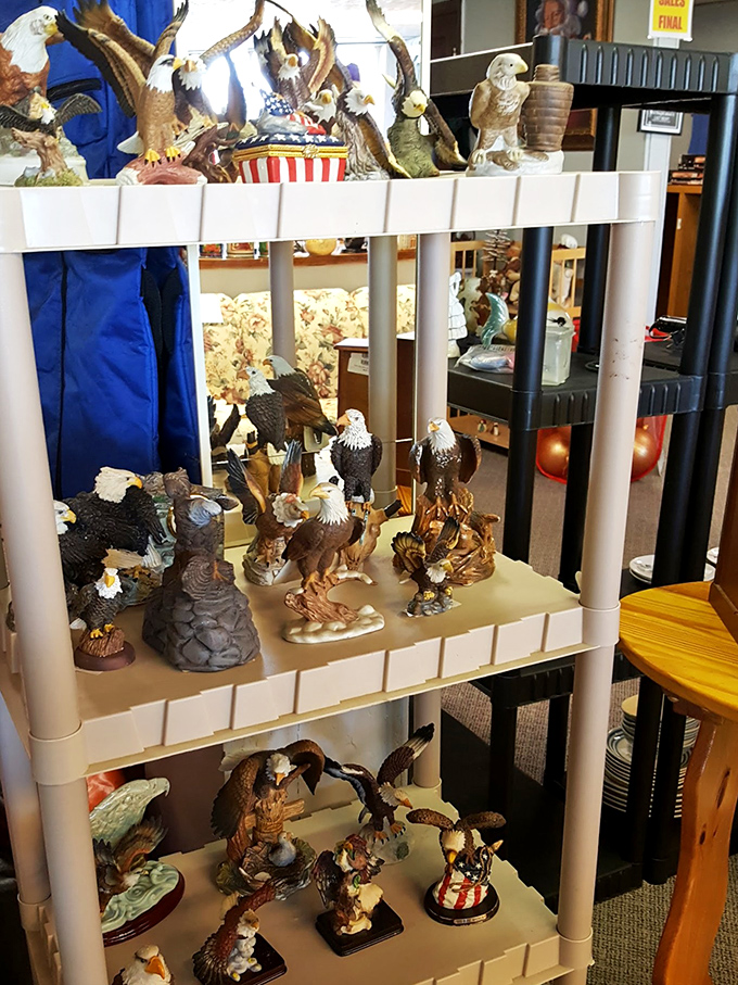 America's national bird gets the spotlight in this patriotic collection. These eagle figurines aren't just decorations—they're conversation starters with wings.