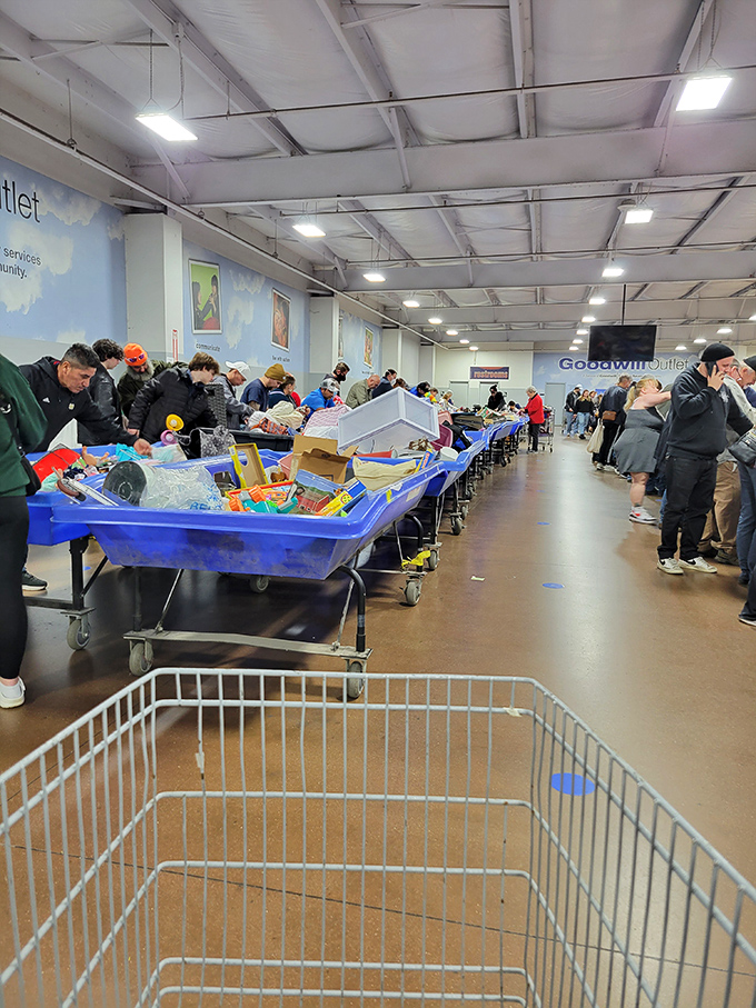 The blue bin gauntlet stretches into the distance like an archaeological dig where yesterday's discards become today's discoveries.