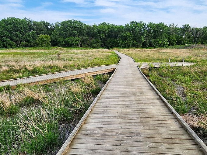 A boardwalk through Headlands' marsh areas keeps your feet dry while your spirit soaks in the tranquility.
