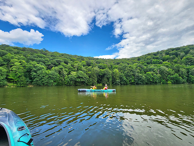 Kayaking nirvana where forest meets water. No traffic, no emails&mdash;just you, a paddle, and that impossible shade of summer green.