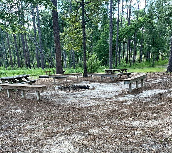 Campfire philosophy: Wooden benches arranged in nature's classroom, where the best conversations happen under star-filled skies and pine canopies.