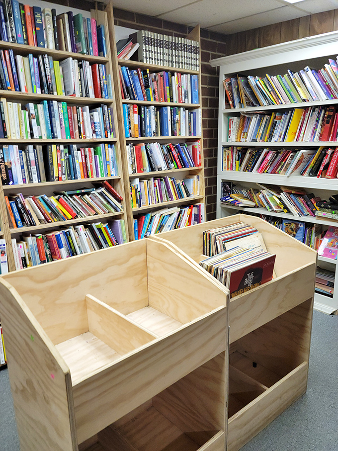 Literary adventures line these shelves like a library that forgot to ask for returns.