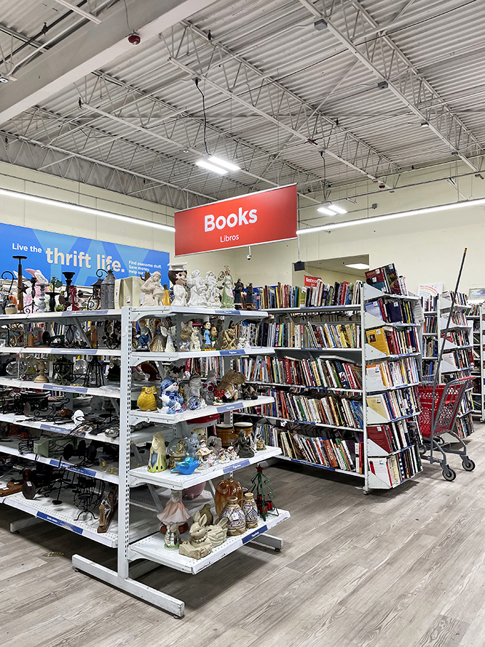 Books and figurines coexist in perfect harmony, like a library that decided to adopt every ceramic animal in Maryland.
