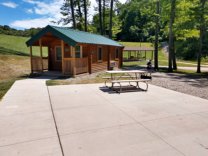 These cozy cabins prove roughing it doesn't have to mean sacrificing comfort or your morning coffee routine.
