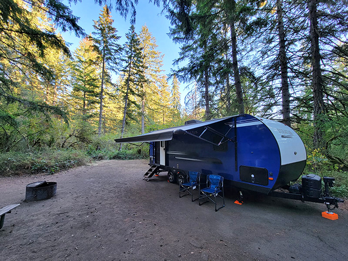 Camping here feels less like roughing it and more like upgrading to nature's premium package.