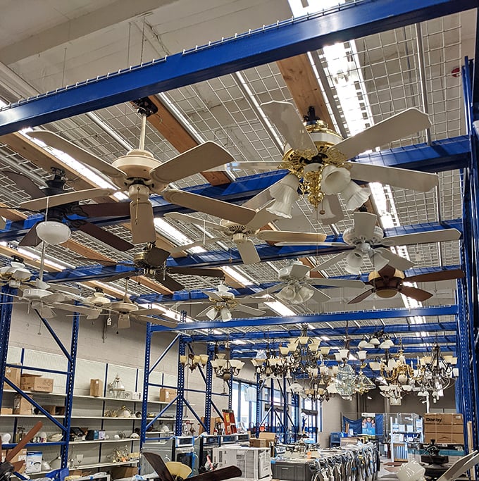 It's raining ceiling fans! This overhead display showcases everything from basic white models to brass-accented vintage styles ready for new homes.