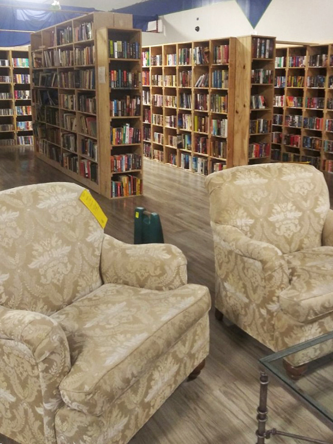 The reading nook setup nobody knew they needed &ndash; vintage chairs paired with floor-to-ceiling books create an instant library feel.