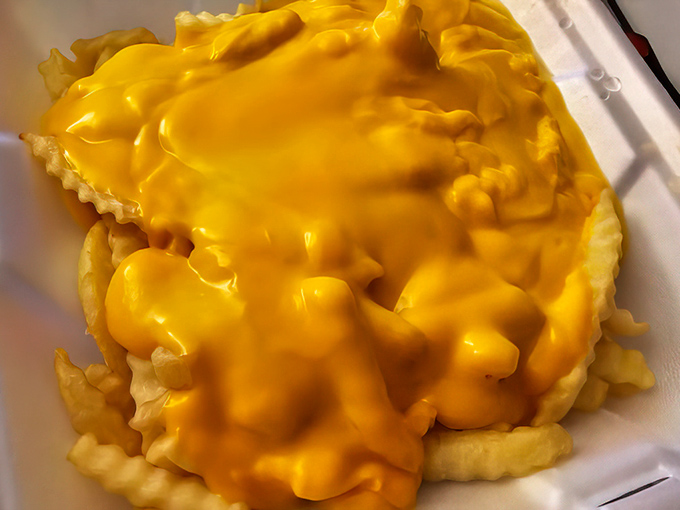 Cheese fries that prove sometimes the simplest pleasures deliver the most satisfying results for your soul.