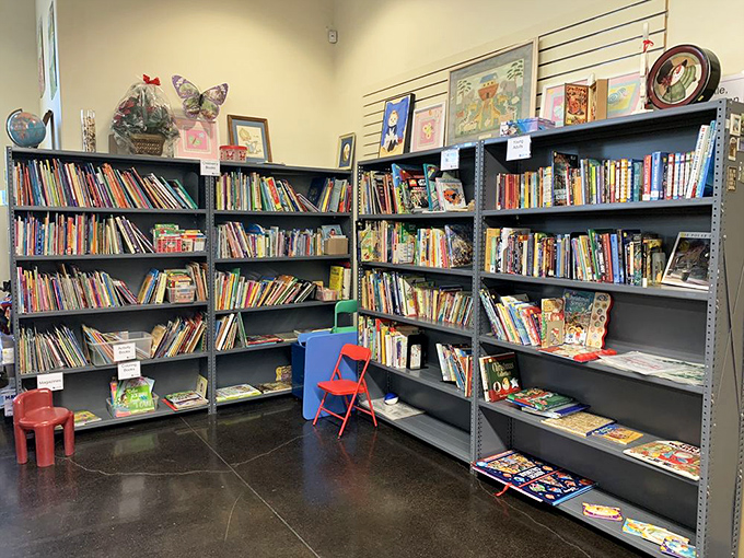 Children's books create colorful kingdoms where young imaginations can soar without breaking family budgets.